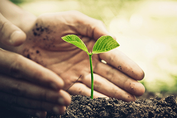 Green Gluing: zuverlässig und nachhaltig kleben | Robatech