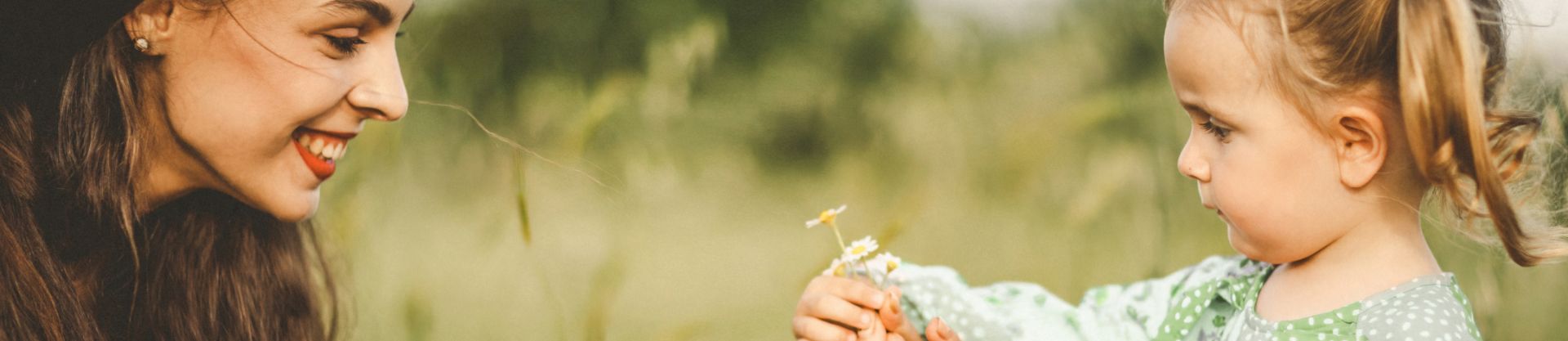 Adhesive Application Systems for the Industry | Robatech