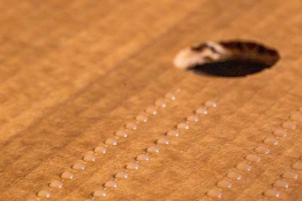 Hot melt stitching: the economical way to apply adhesive | Robatech